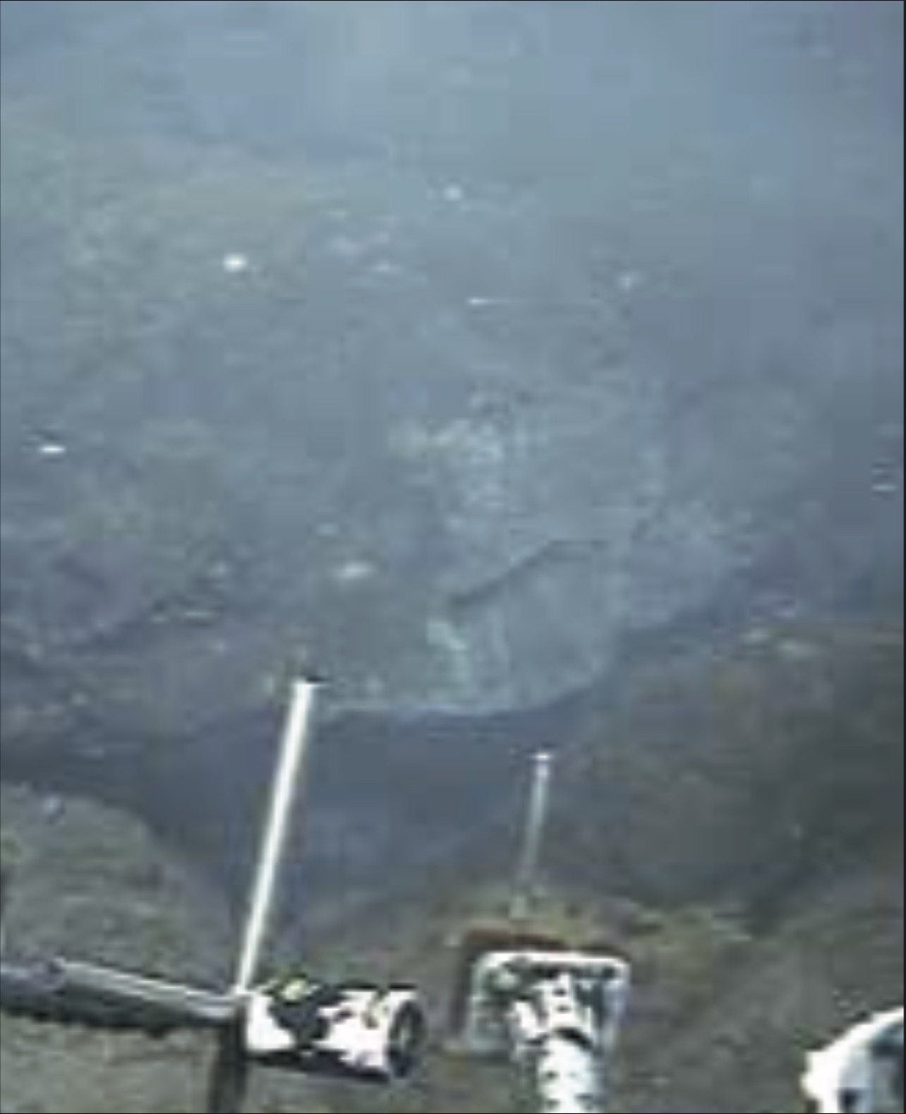 Main Endeavour Field 1