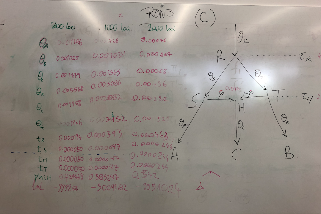 2019 Computational Molecular Evolution Workshop, Hinxton UK – Leache Lab