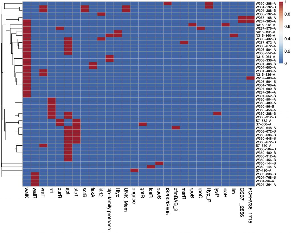 Publications | Xu Lab