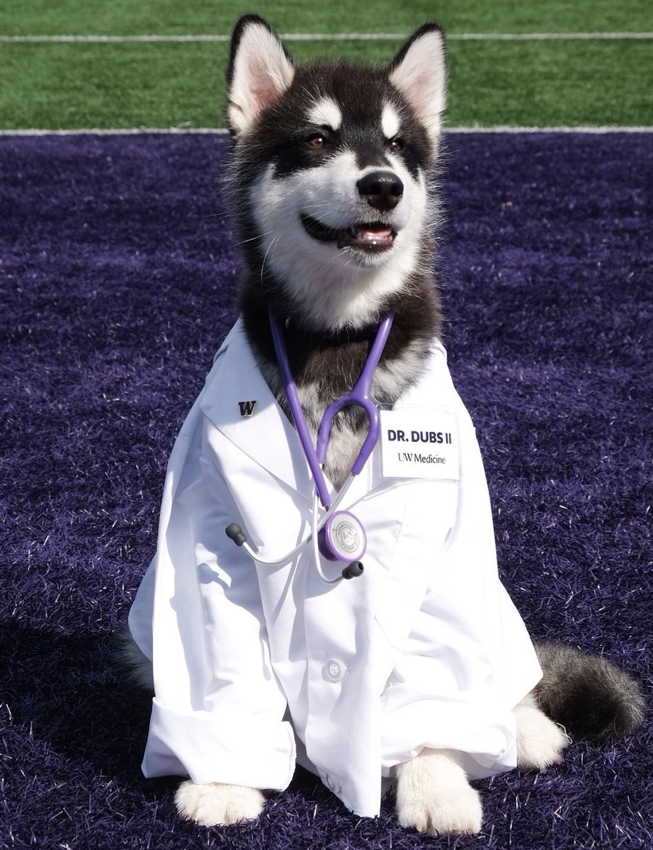 People | Averkiou Lab