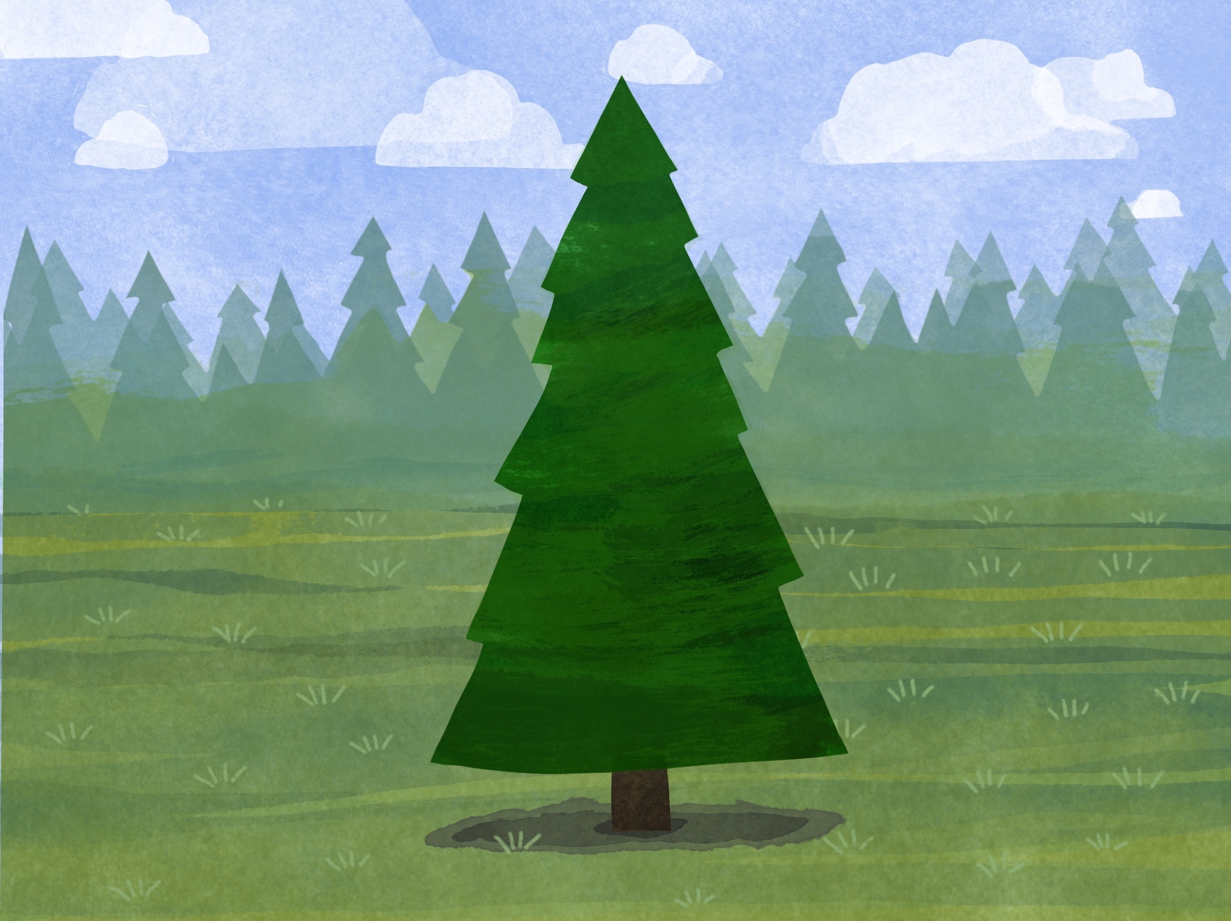 An evergreen post | MDS