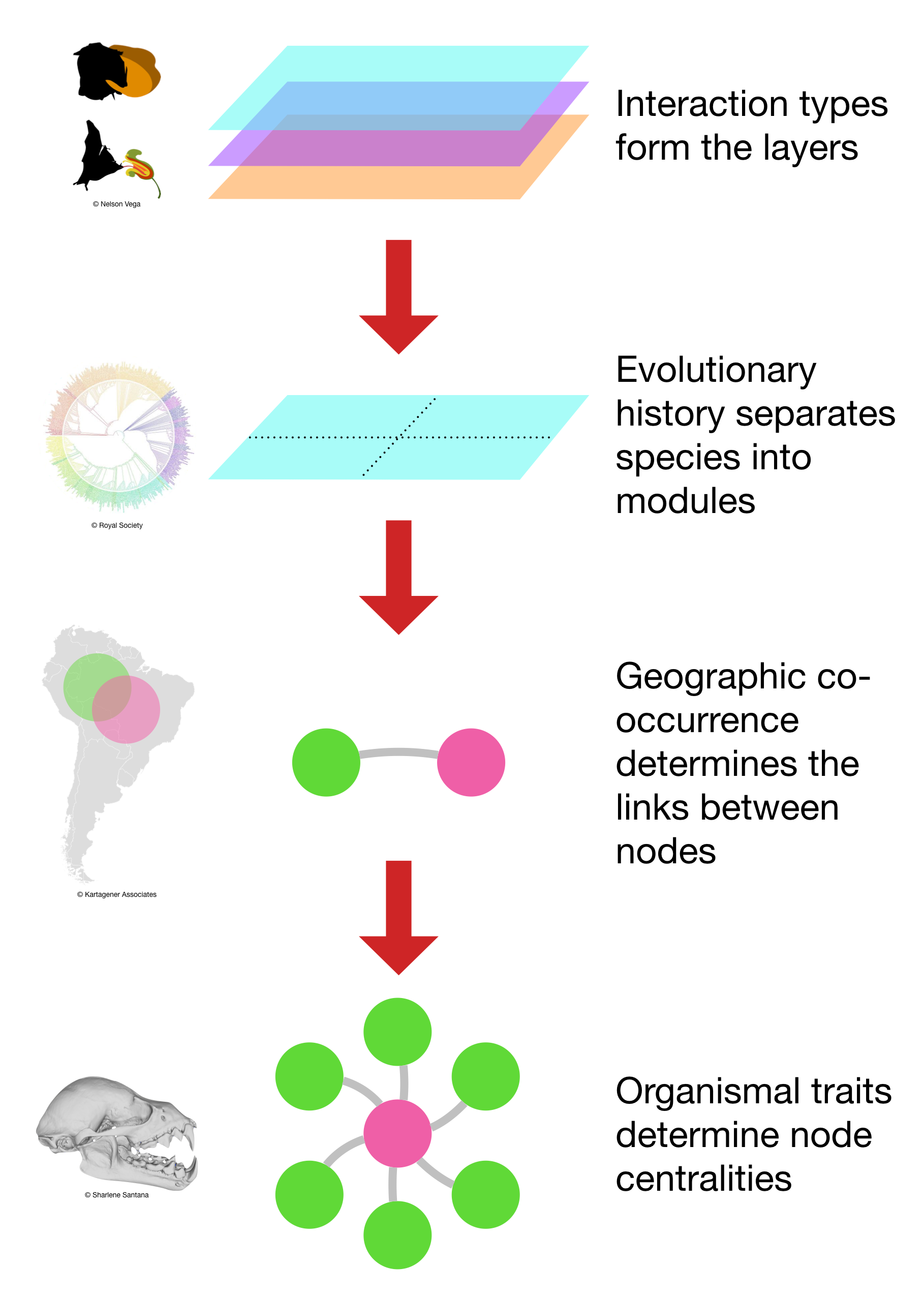 New paper: Insights into the assembly rules of a continent-wide ...