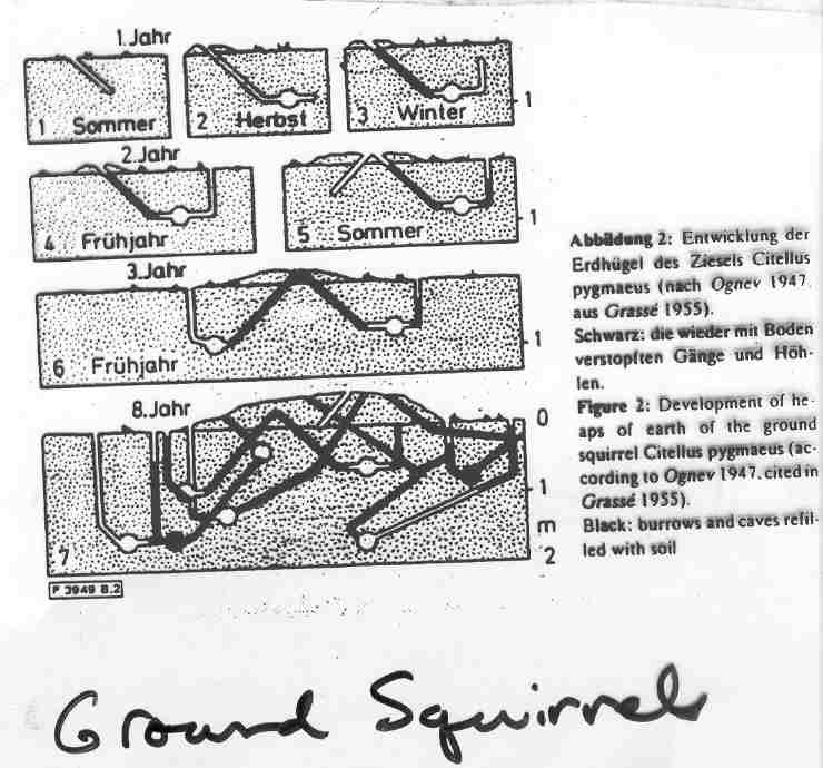 Bioturbation - JungleKey.fr Wiki